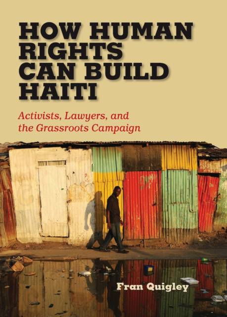 How Human Rights Can Build Haiti | Fran Quigley | Droits politiques ...