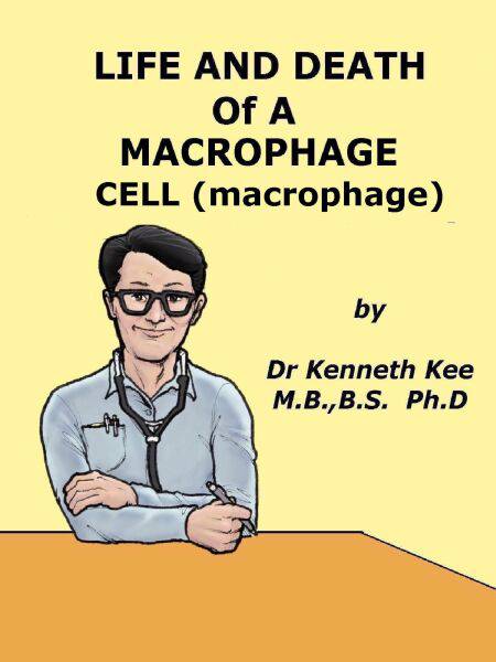 Life And Death Of A Macrophage Cell (Macrophage) (ebook) | Kenneth Kee ...