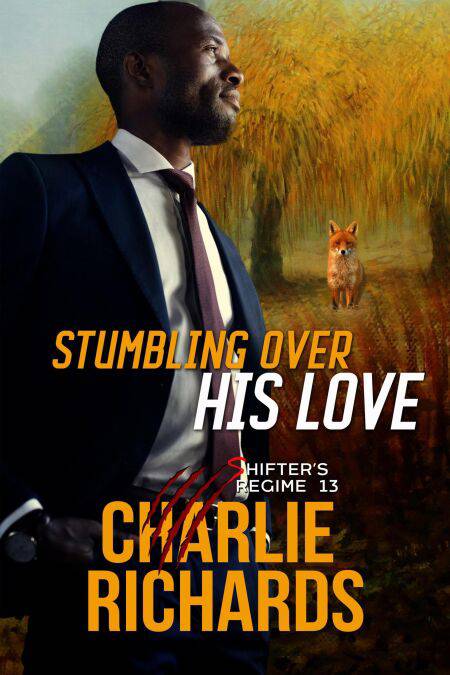 Stumbling Over His Love (ebook) | Charlie Richards | Romance sombre ...