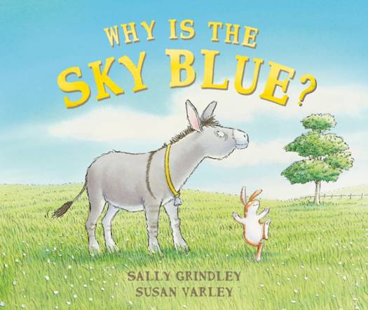 Why Is The Sky Blue? | Sally Grindley | Romans & Albums | 9781842705896 ...