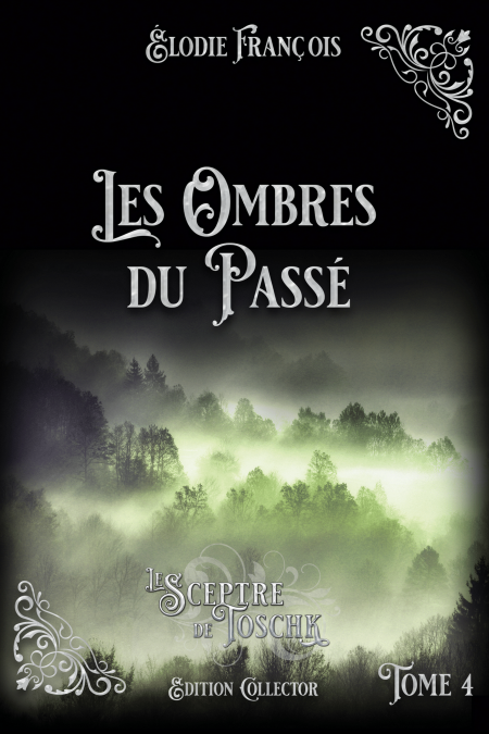 Les Ombres du Passé (ebook) | Élodie François | Le paranormal ...