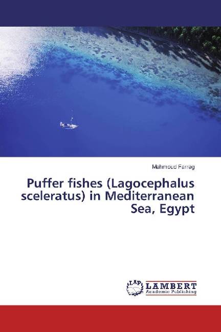 Puffer fishes (Lagocephalus sceleratus) in Mediterranean Sea, Egypt ...