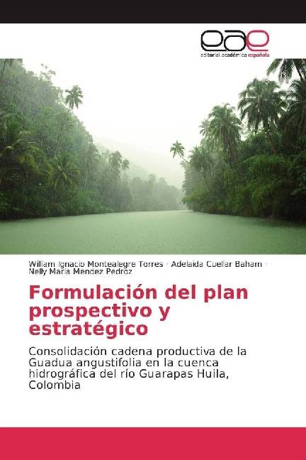 Formulación del plan prospectivo y estratégico | William Ignacio ...