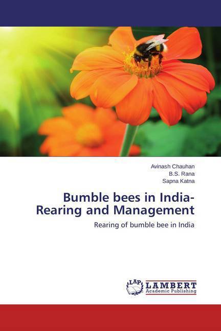 Bumble bees in India- Rearing and Management | Chauhan Avinash, Rana B ...