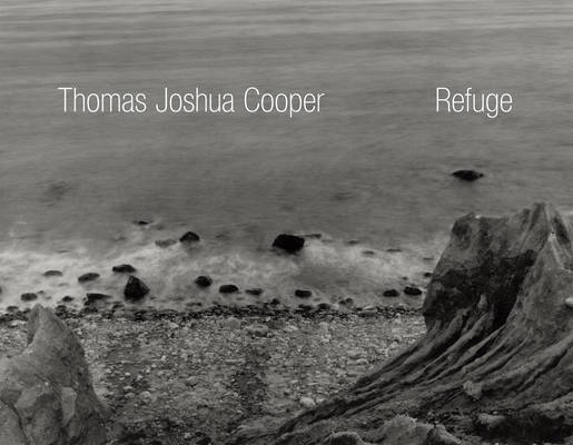 Thomas Joshua Cooper | Terrie Sultan | Collections | 9783791358185 ...