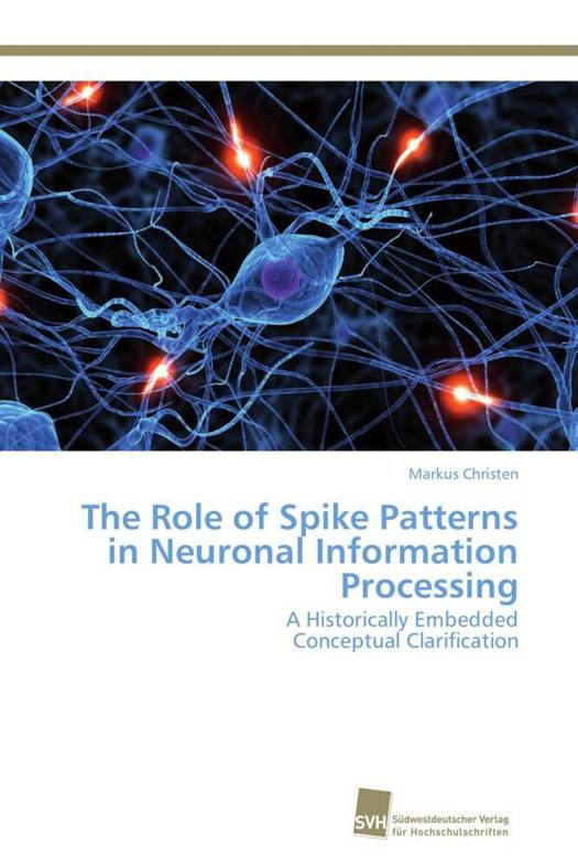 The Role of Spike Patterns in Neuronal Information Processing | Markus ...